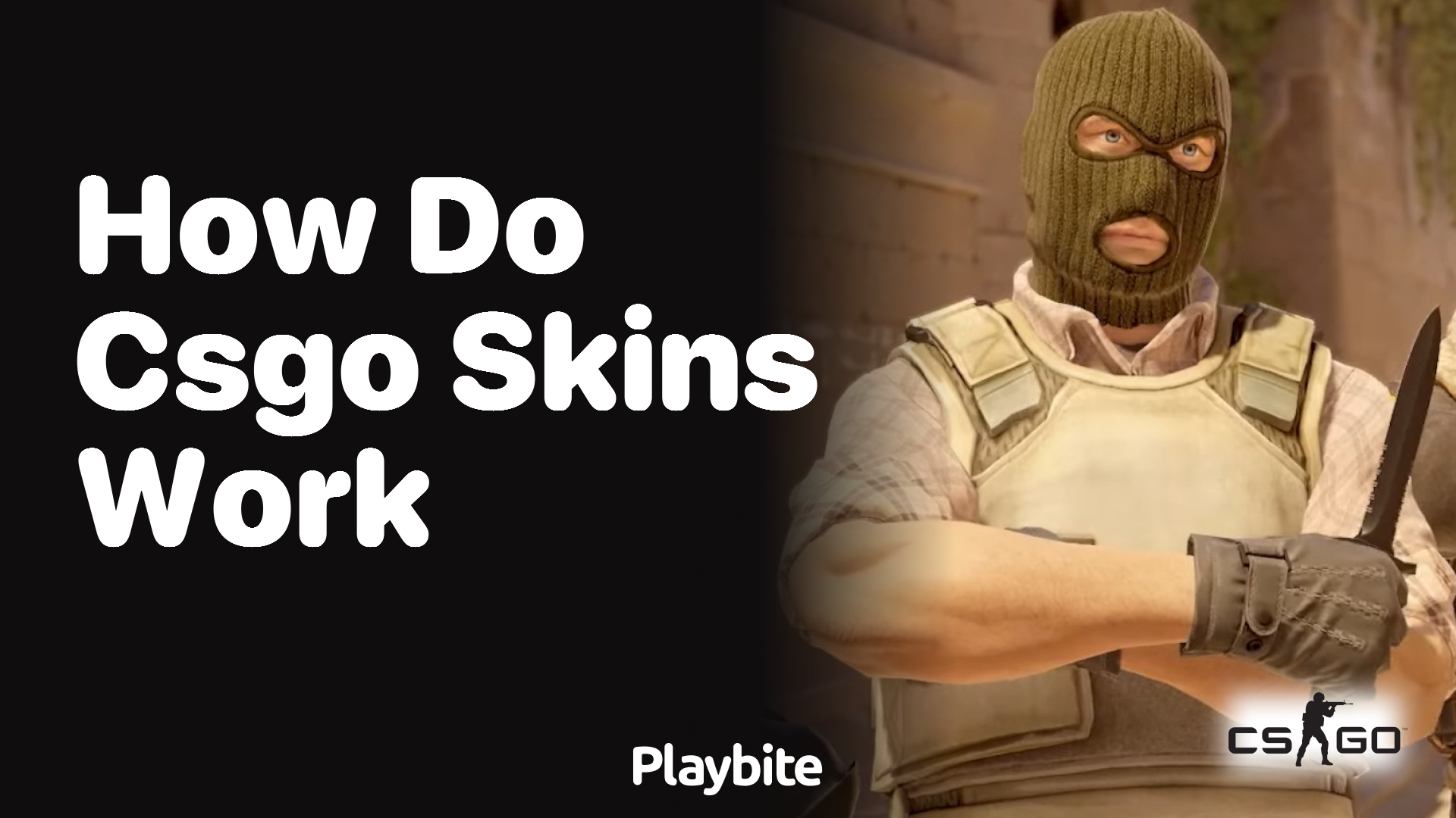 How do CS:GO skins work? - Playbite