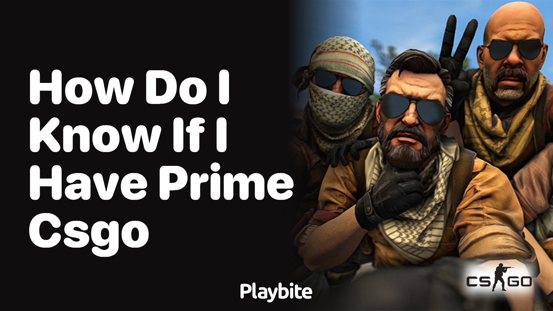 How do I know if I have Prime in CSGO? - Playbite