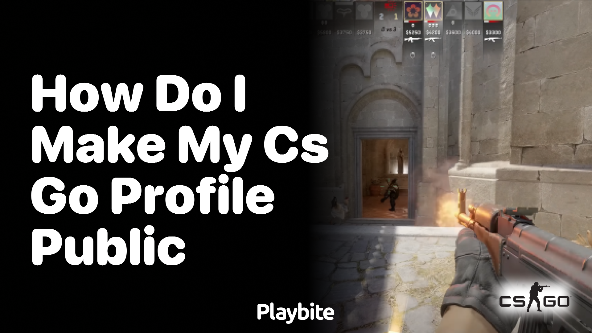How do I make my CS:GO profile public? - Playbite