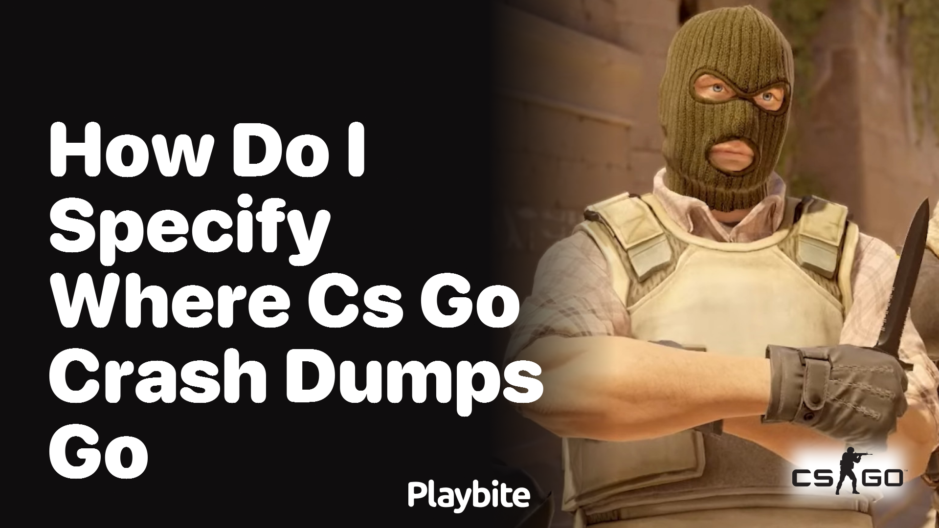 How do I specify where CS:GO crash dumps go? - Playbite