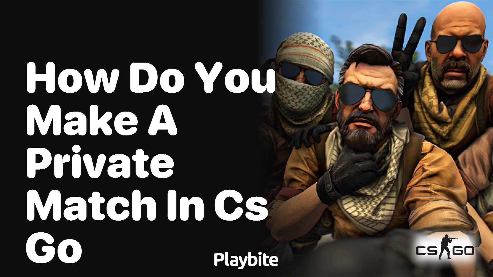 How do you make a private match in CS:GO? - Playbite