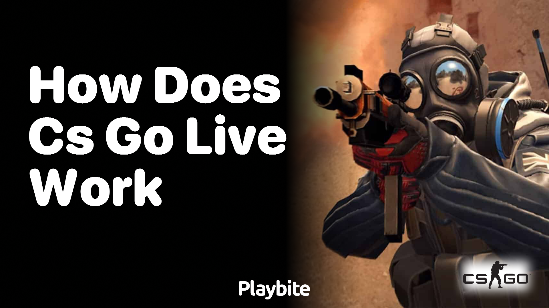 How does CS:GO live work? - Playbite