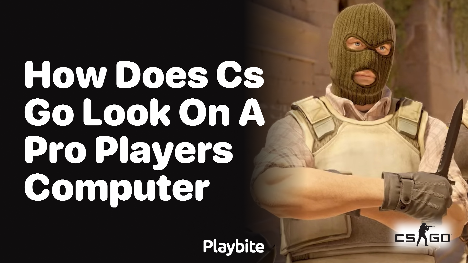 How does CS:GO look on a pro player's computer? - Playbite