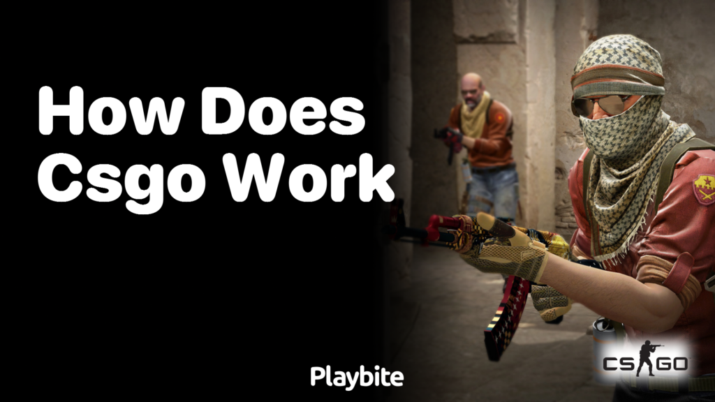 How does CS:GO work? - Playbite