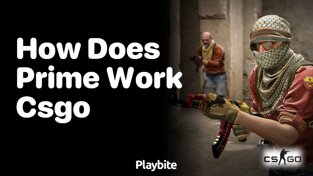 How does Prime work in CS:GO? - Playbite