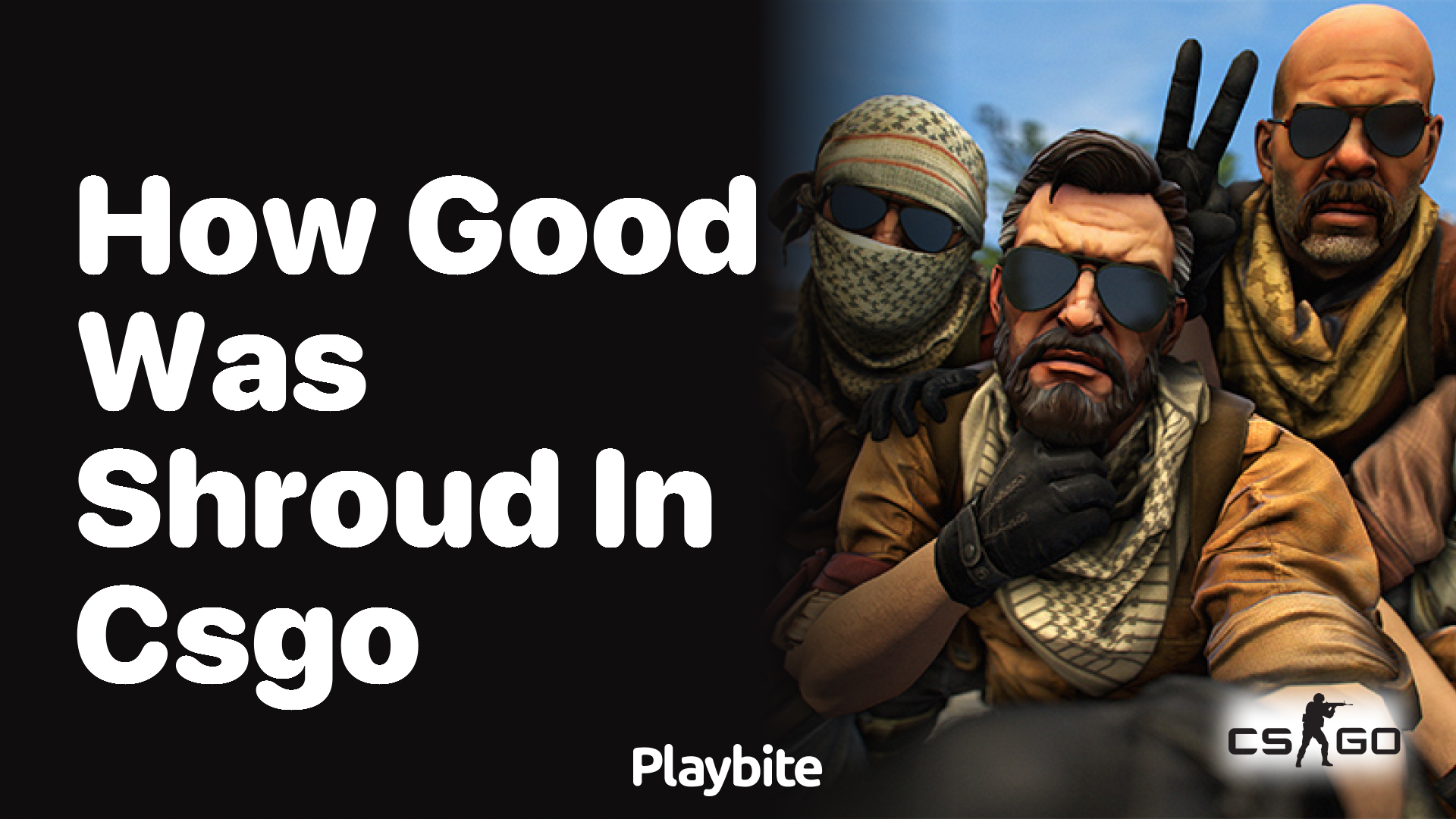 How good was Shroud in CS:GO? - Playbite
