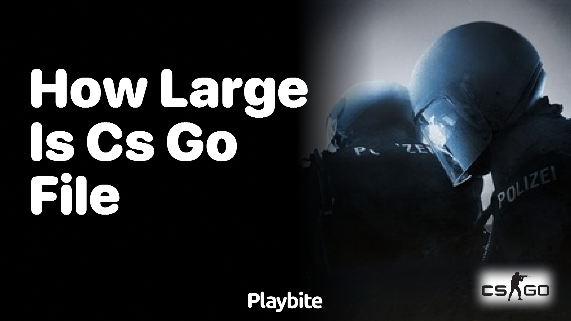 How large is the CS:GO file? - Playbite