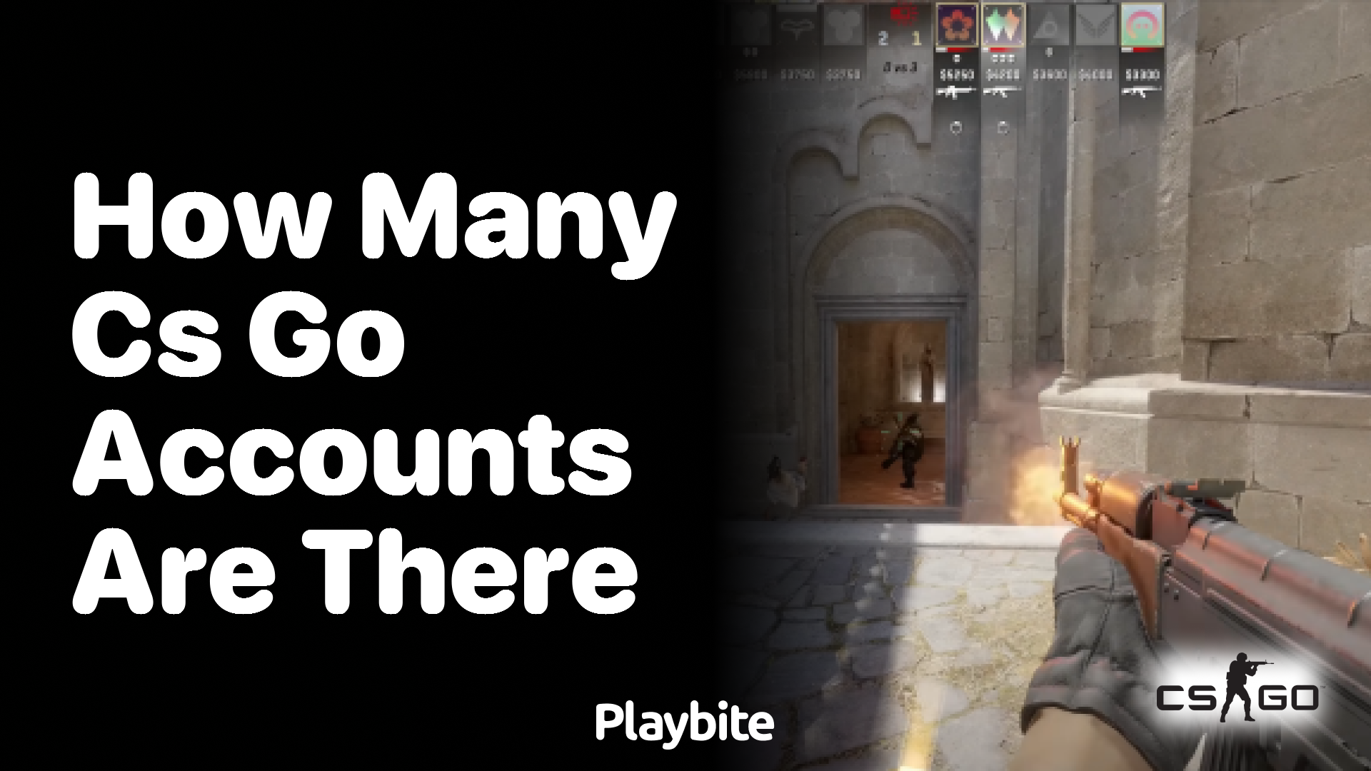 How many CS:GO accounts are there? - Playbite