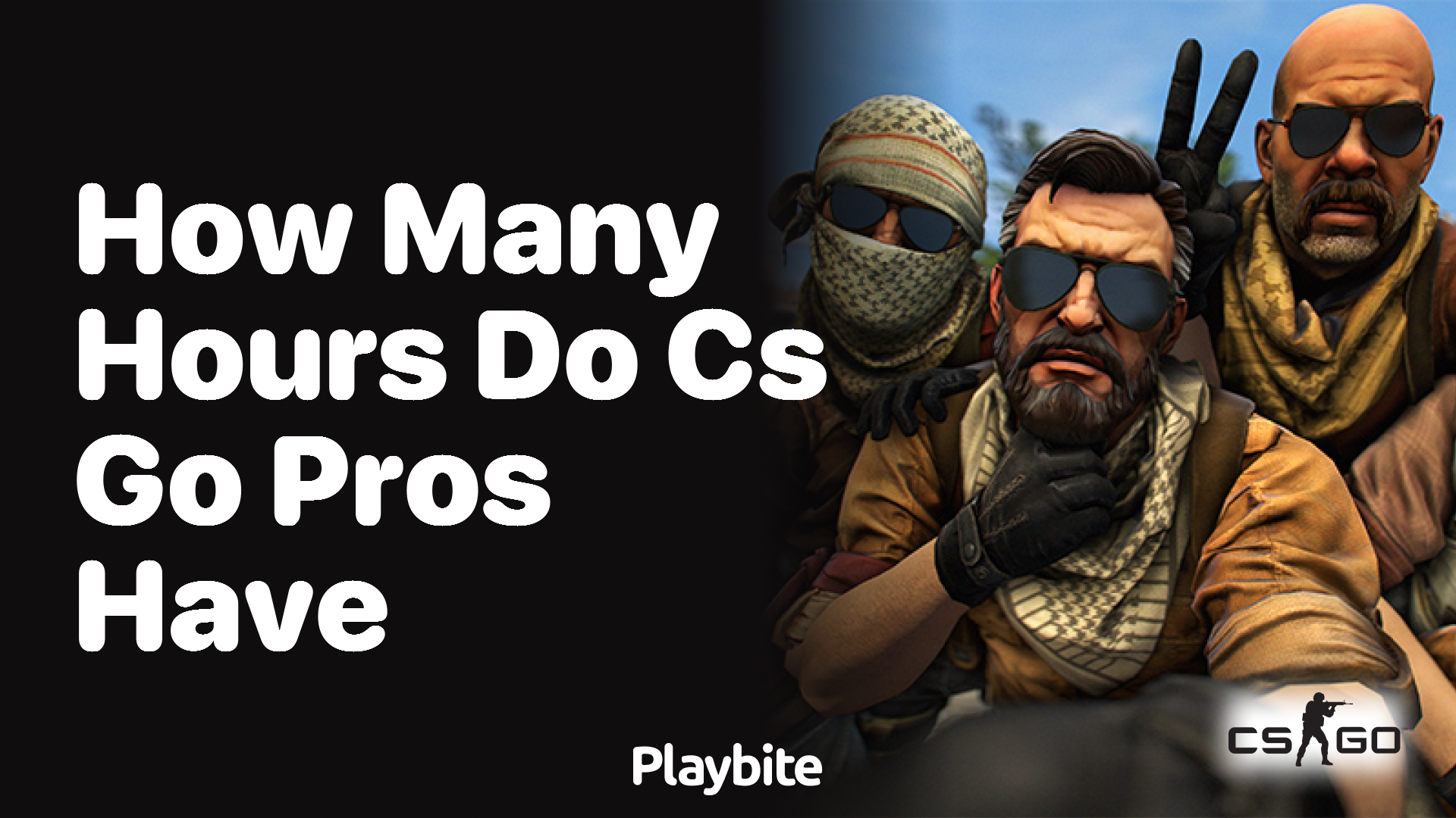 How Many Hours Do CS:GO Pros Have? - Playbite