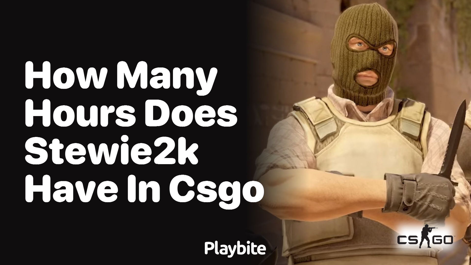 How many hours does Stewie2k have in CS:GO? - Playbite