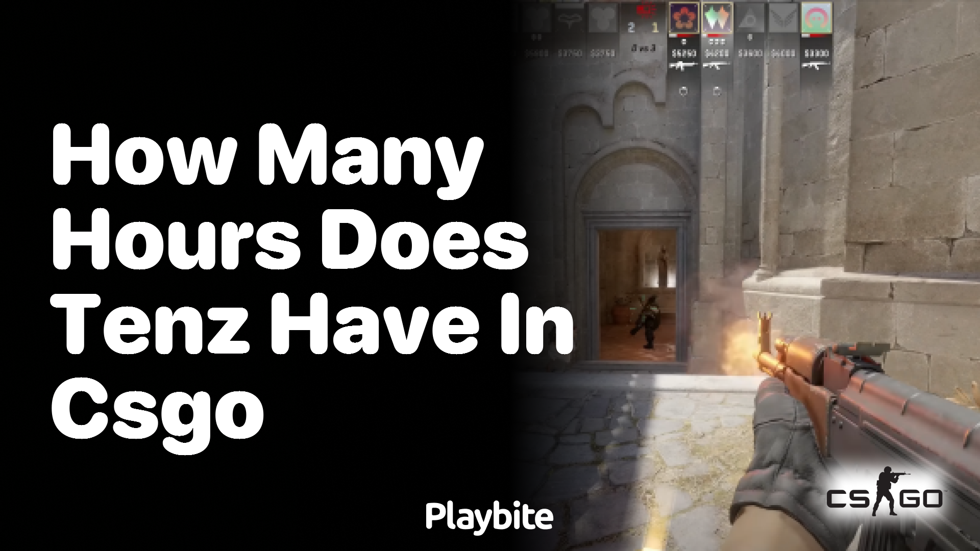 How many hours does TenZ have in CSGO? - Playbite