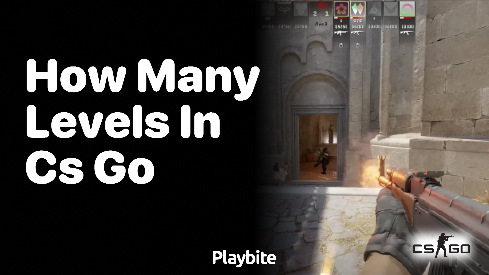 How many levels are in CS:GO? - Playbite