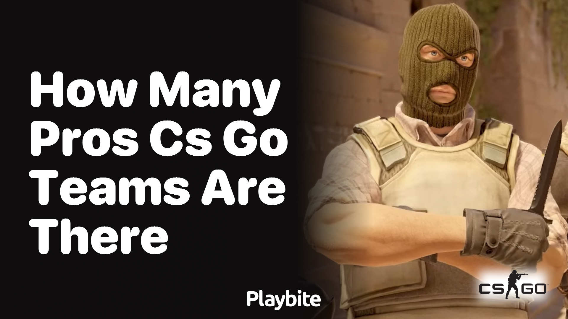 How many pro CS:GO teams are there? - Playbite
