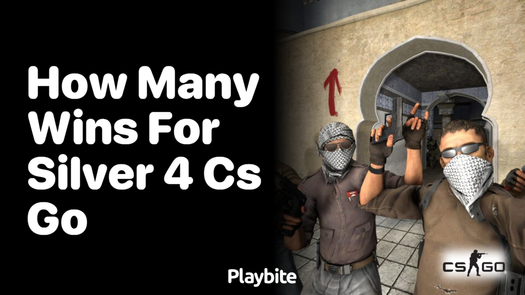 How many wins for Silver 4 in CS:GO? - Playbite
