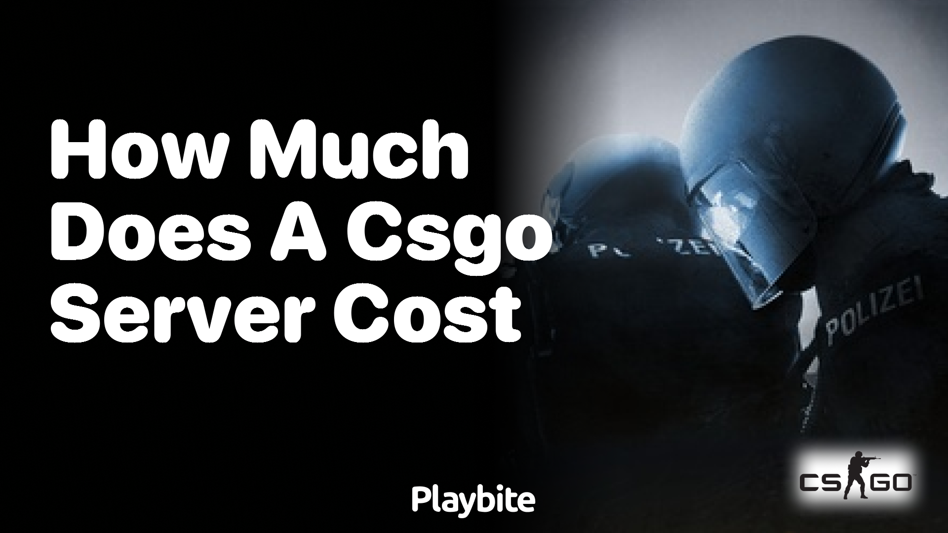 How much does a CSGO server cost? - Playbite