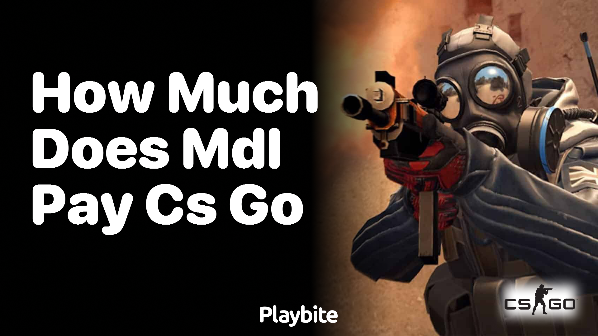 How much does MDL pay in CS:GO? - Playbite