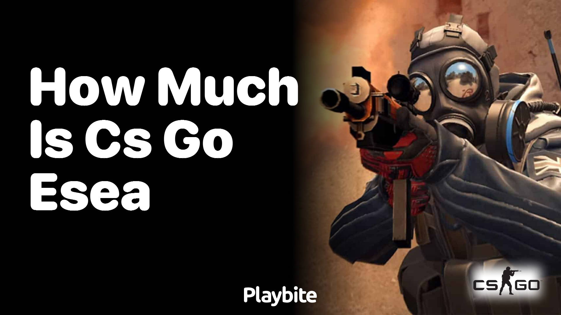 How much does CS:GO ESEA cost? - Playbite