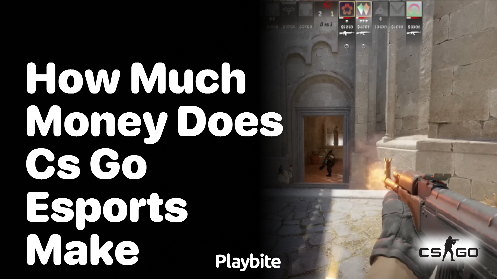 How Much Money Does CS:GO Esports Make? - Playbite