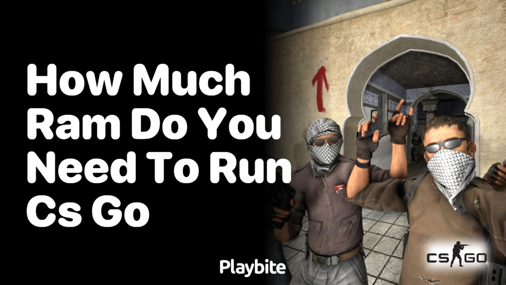 How much RAM do you need to run CS:GO? - Playbite