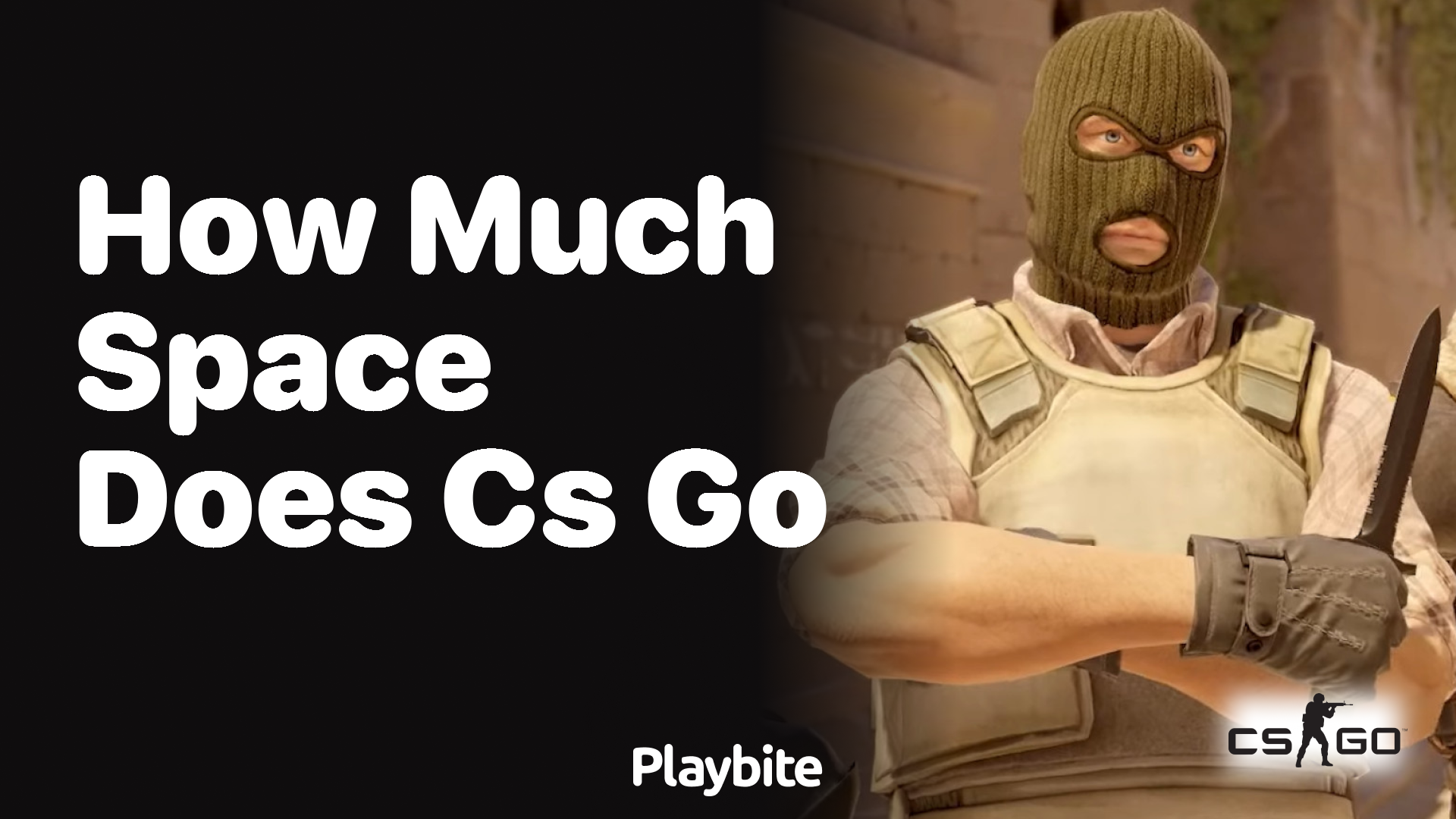 How much space does CS:GO require? - Playbite