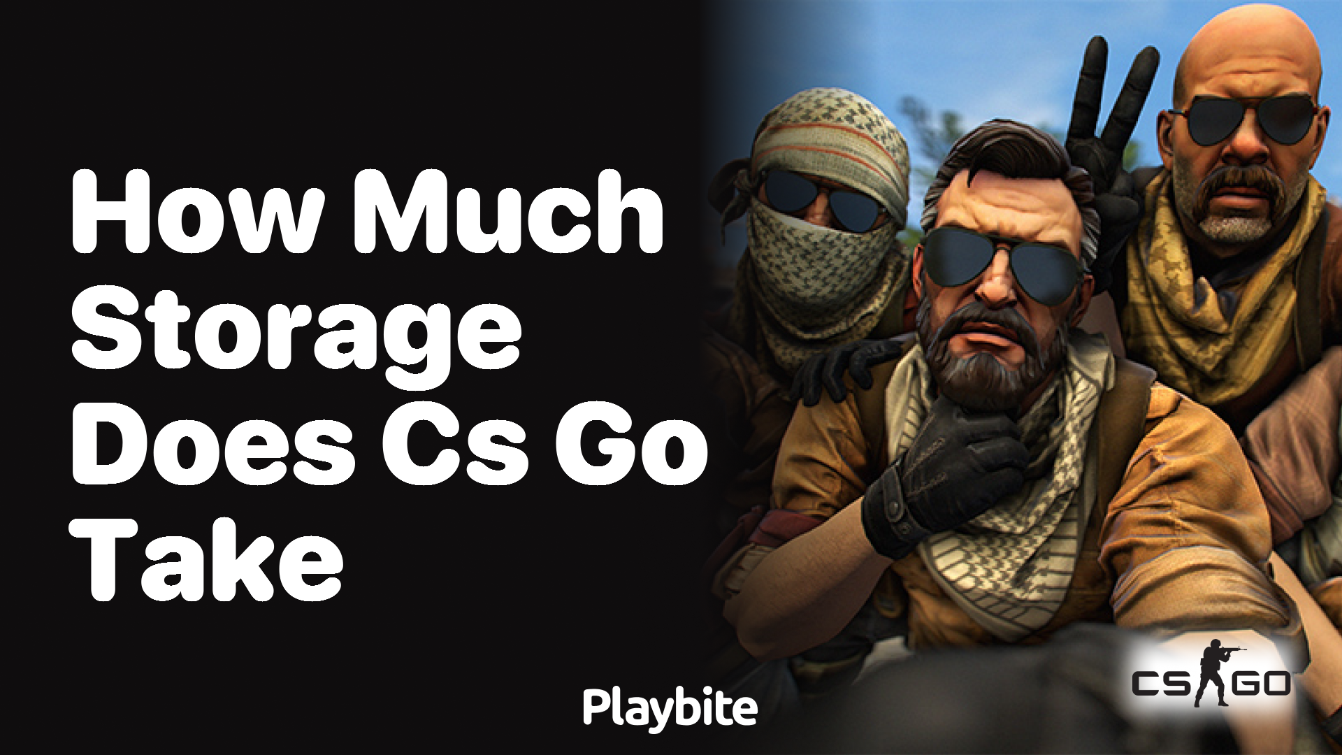 How much storage does CS:GO take? - Playbite