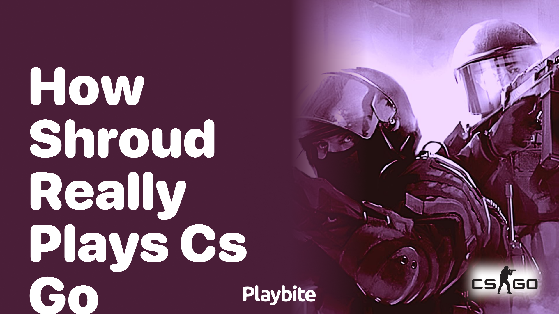 How does Shroud really play CS:GO? - Playbite