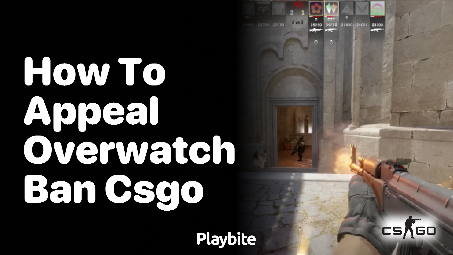 How to Appeal an Overwatch Ban in CS:GO - Playbite