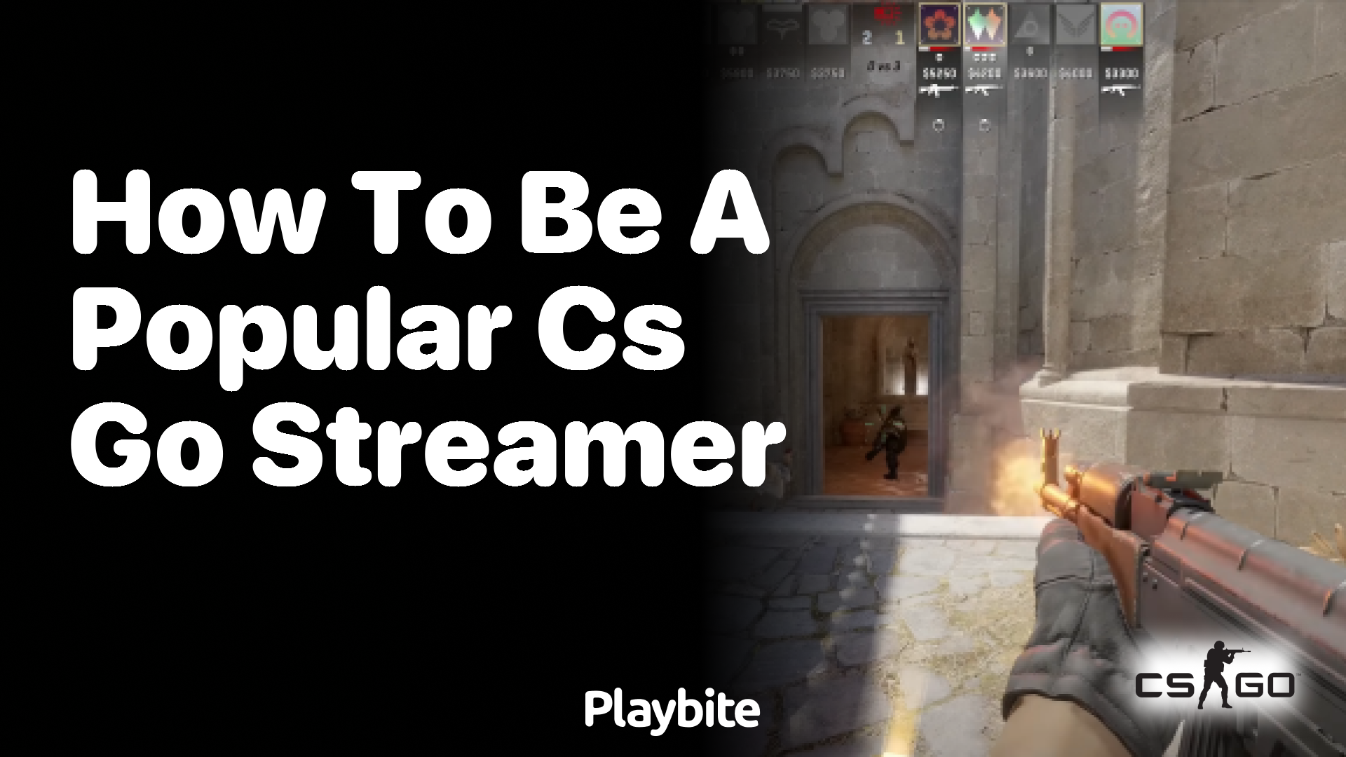 How to Be a Popular CS:GO Streamer - Playbite