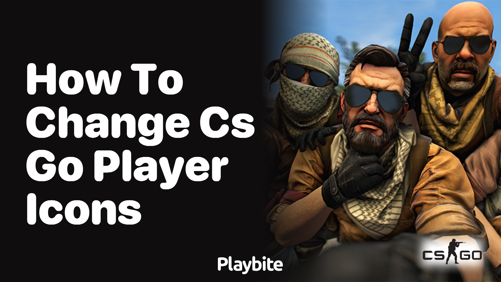 How to change CS:GO player icons - Playbite