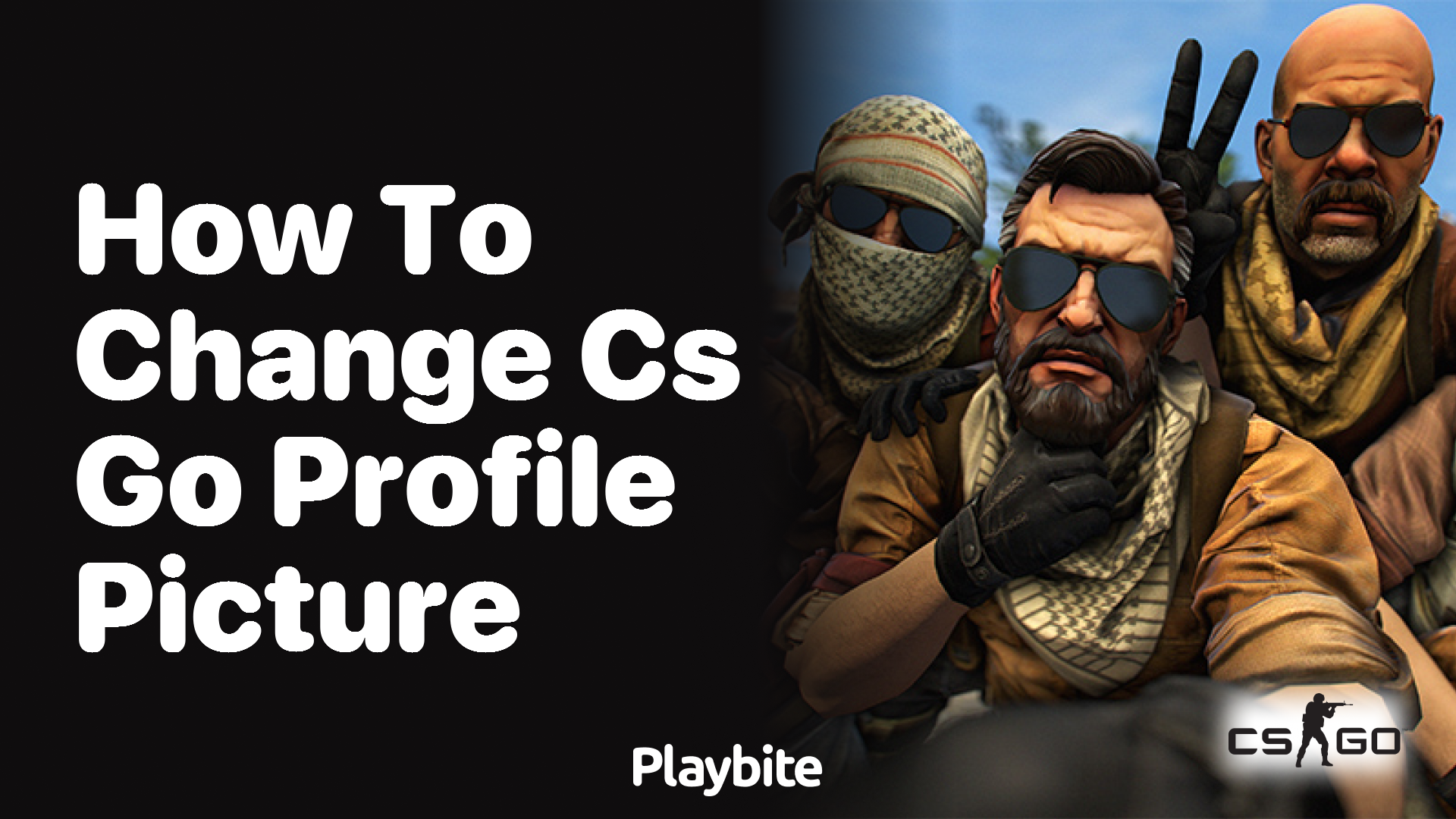 How to Change Your CS:GO Profile Picture - Playbite