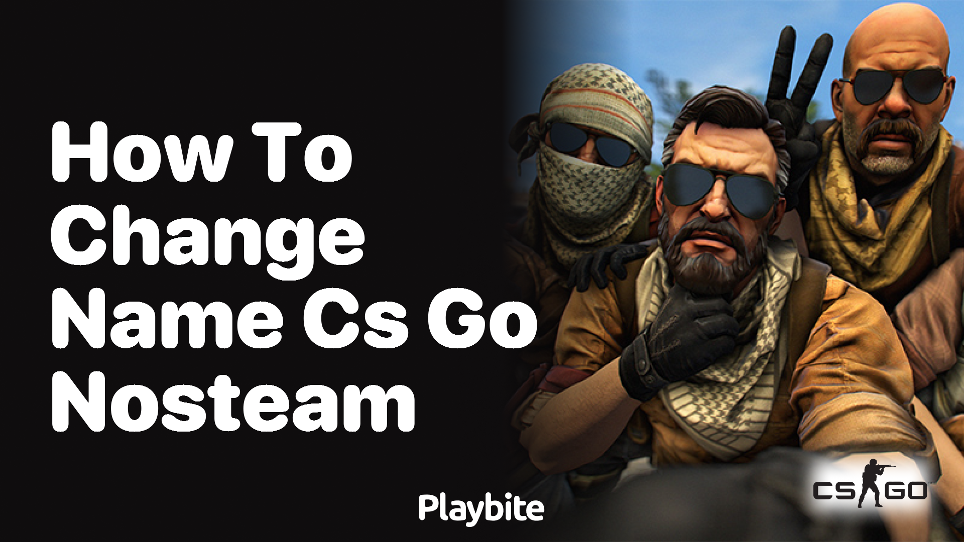 How to change name in CS:GO NoSteam - Playbite