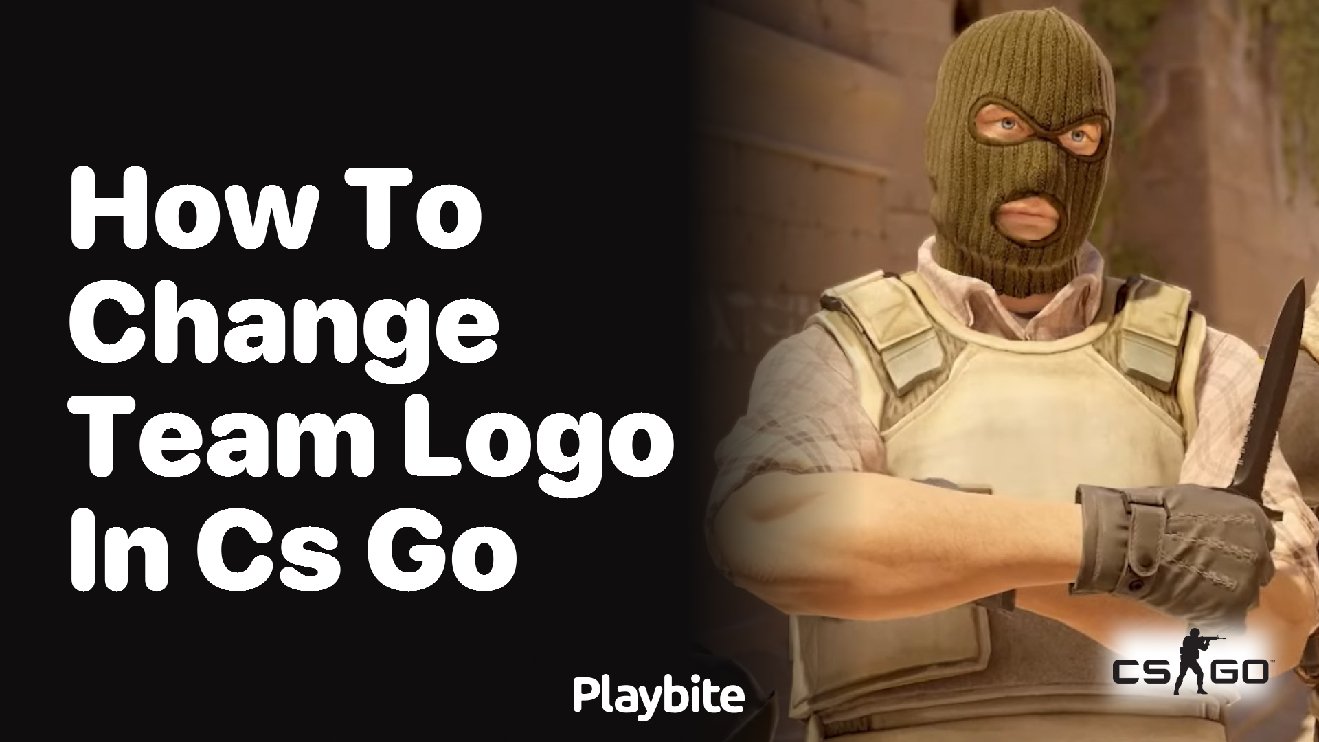 How to change team logo in CS:GO - Playbite