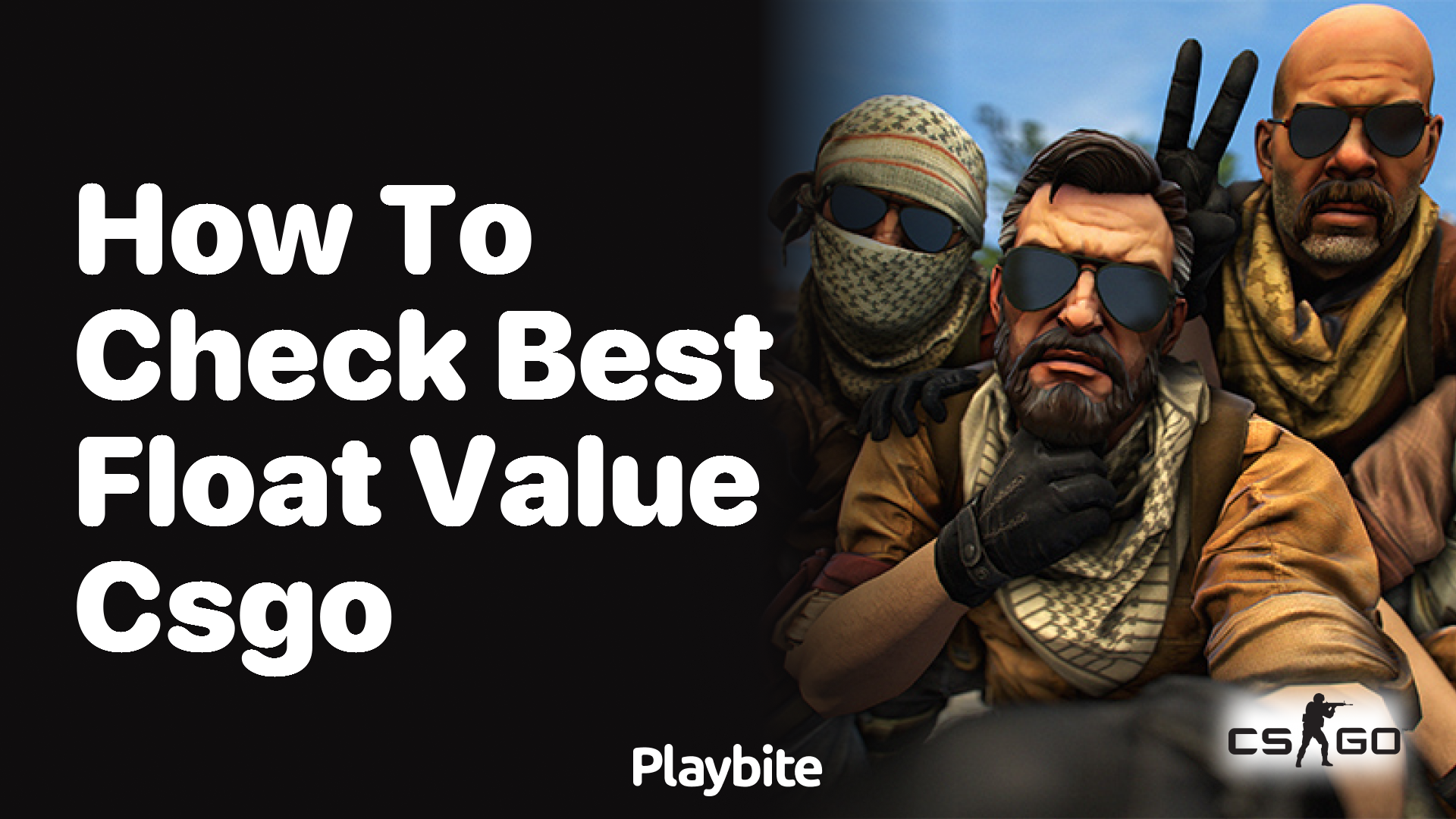 How to check the best float value in CS:GO - Playbite