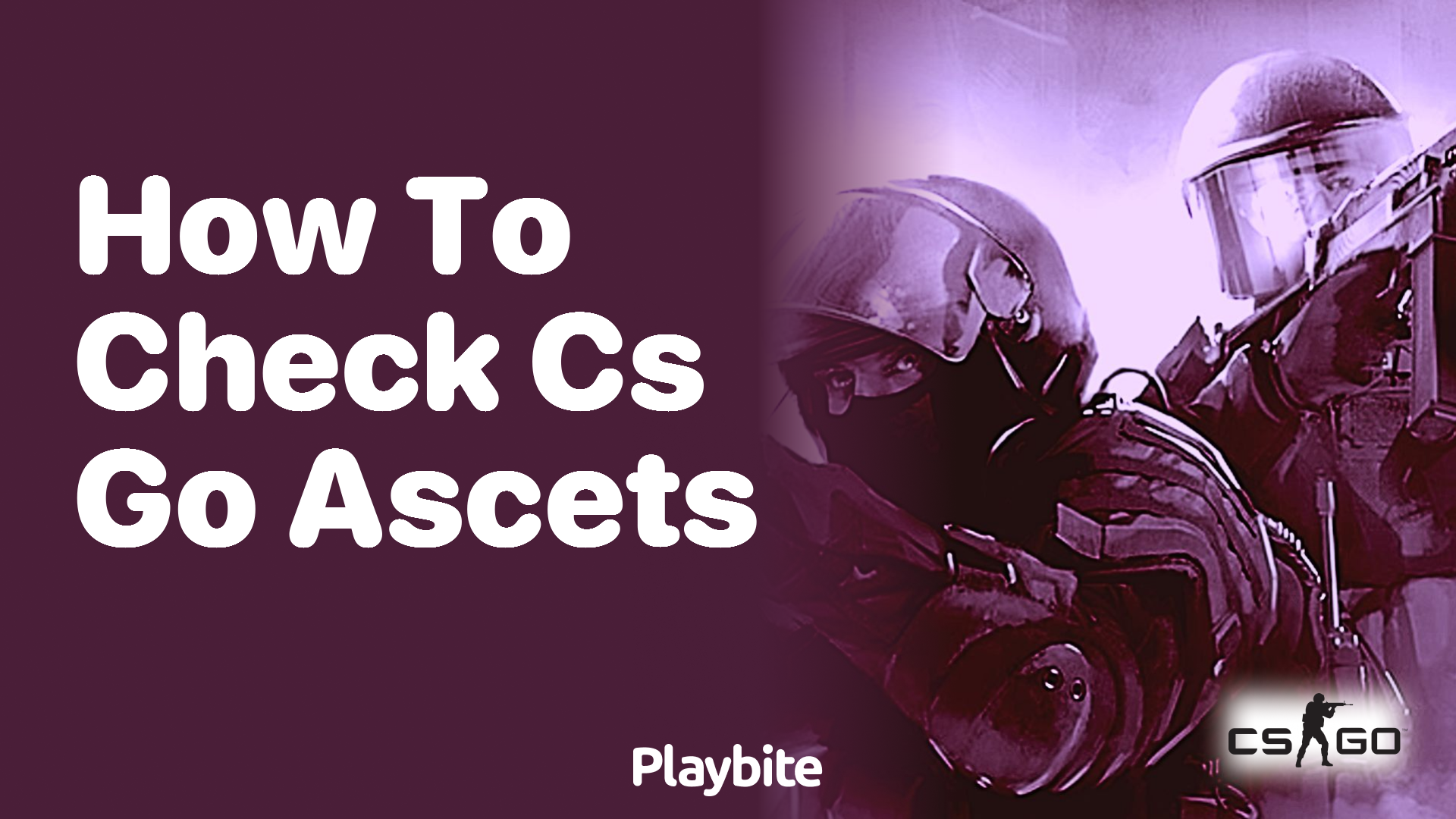 How to check CS:GO assets - Playbite