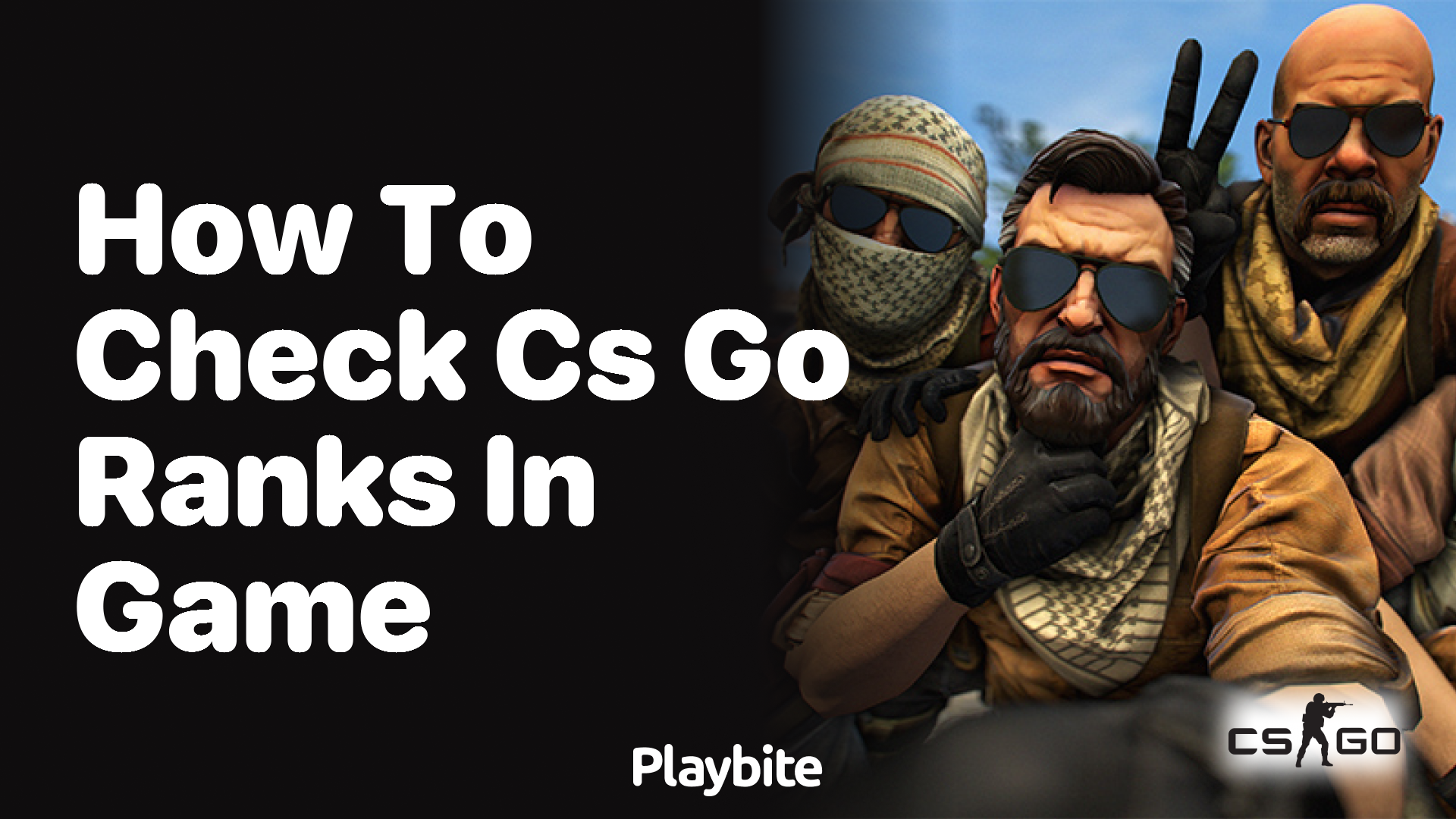 How to check CS:GO ranks in game - Playbite