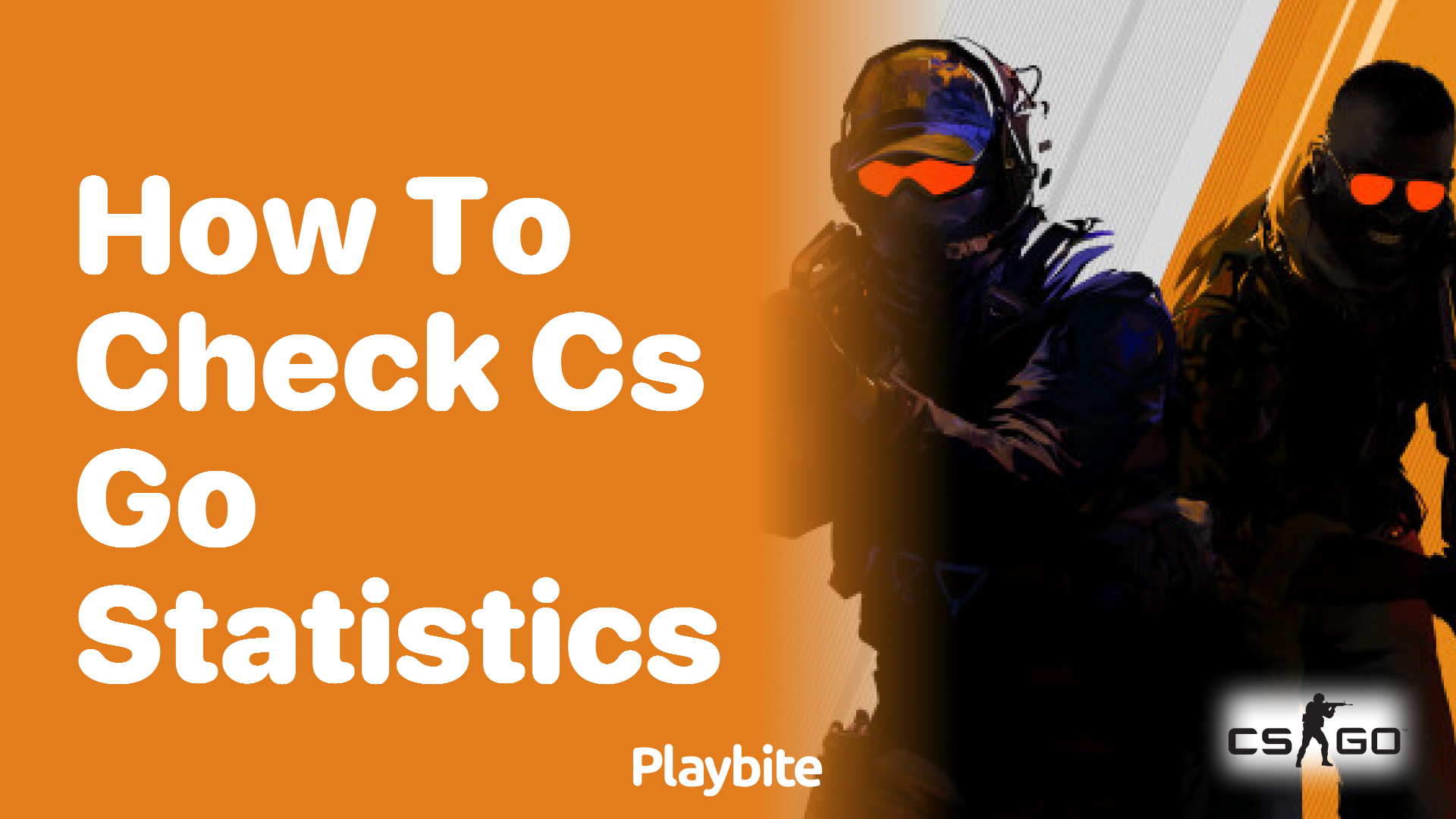 How to check CS:GO statistics - Playbite