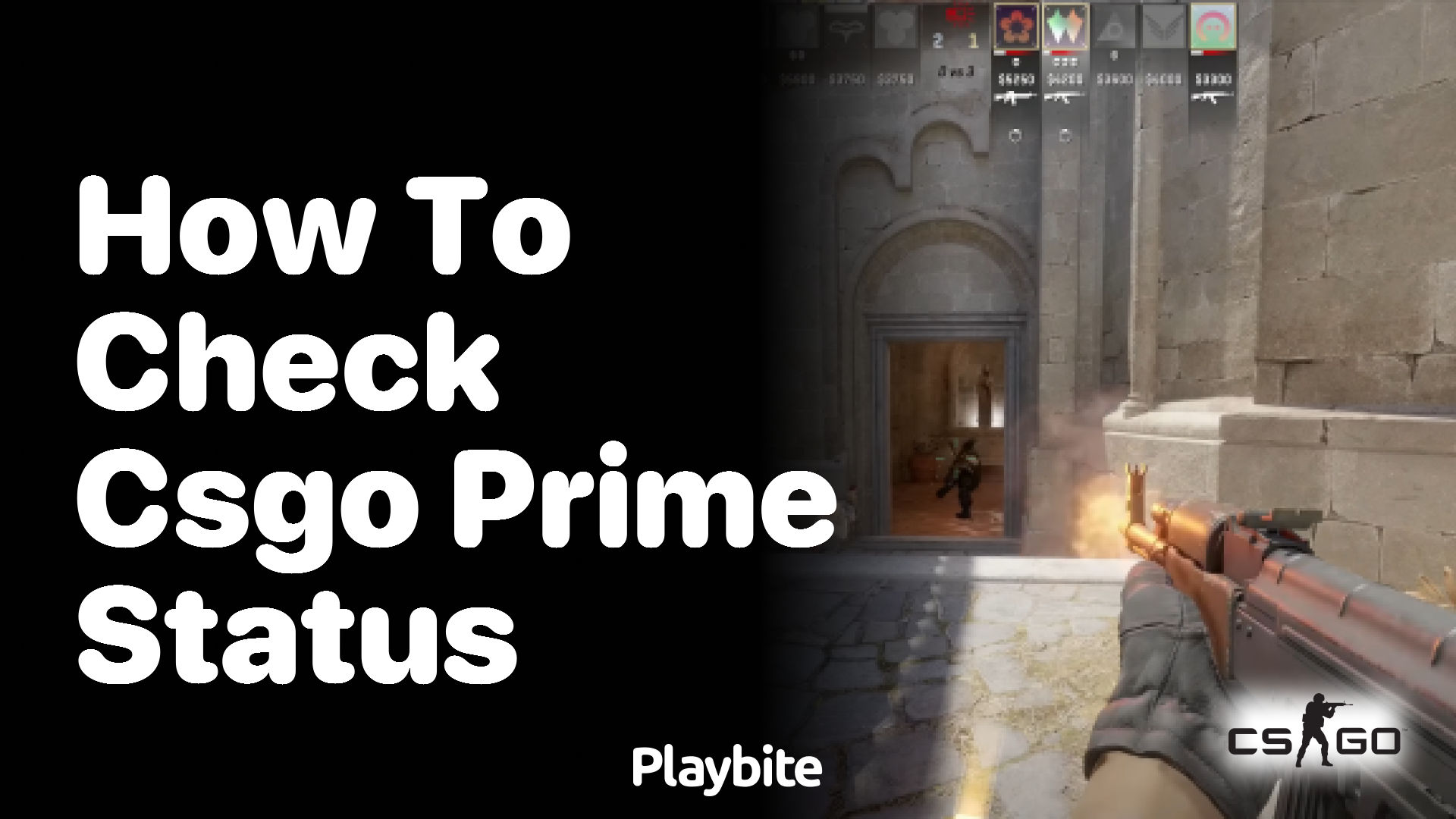 How to check CS:GO Prime Status? - Playbite