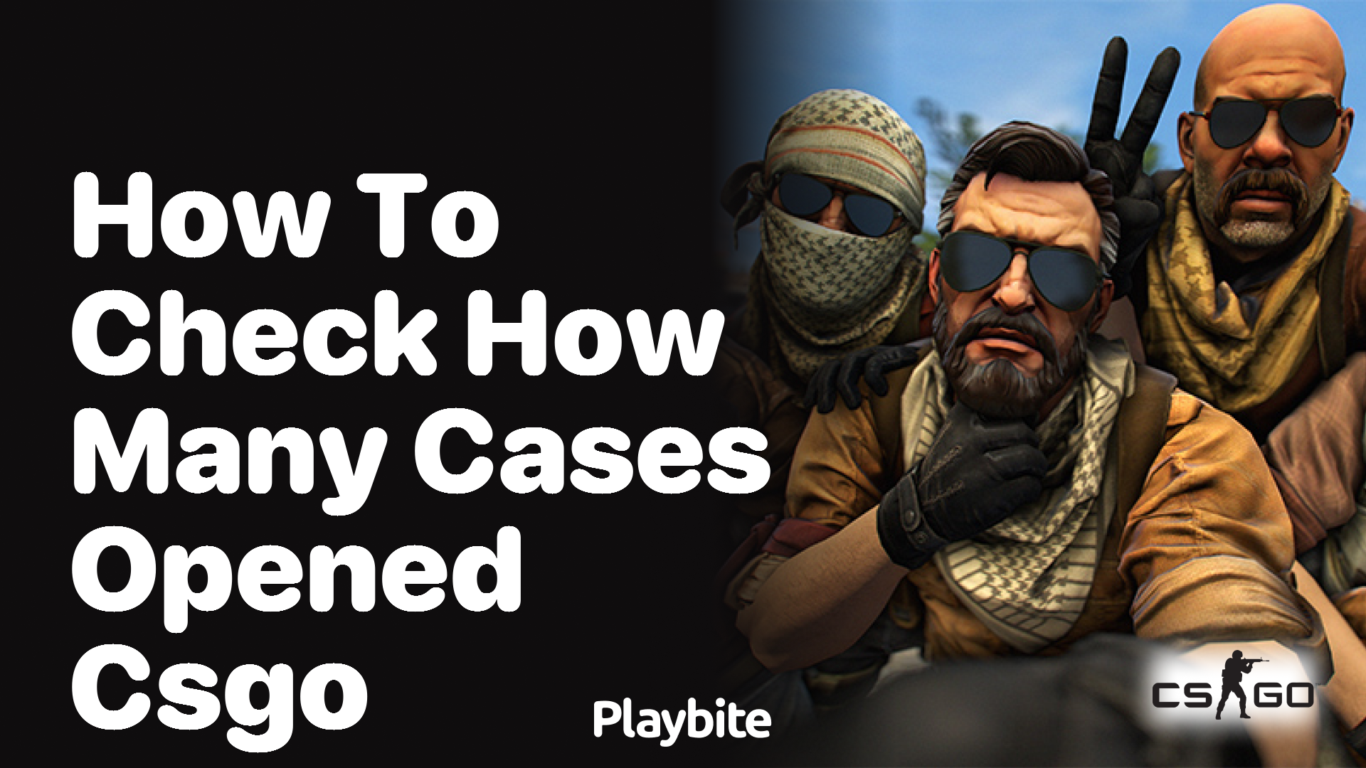 How to check how many cases you've opened in CS:GO - Playbite