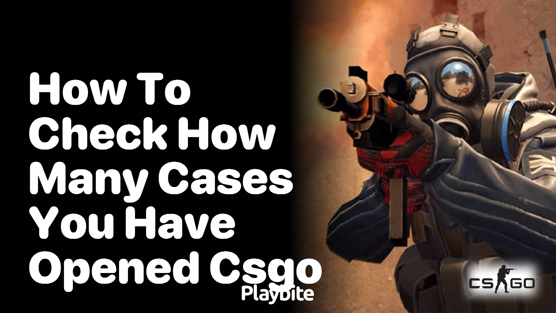 How to check how many cases you have opened in CS:GO - Playbite