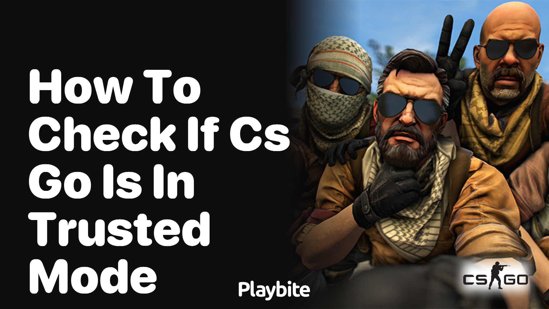 How to Check if CS:GO is in Trusted Mode - Playbite