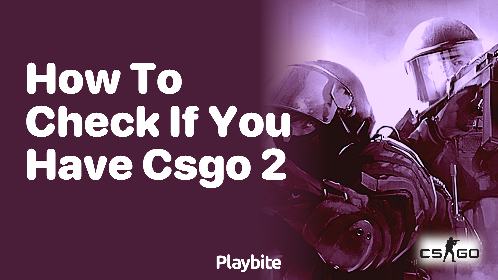 How to check if you have CS:GO 2 - Playbite