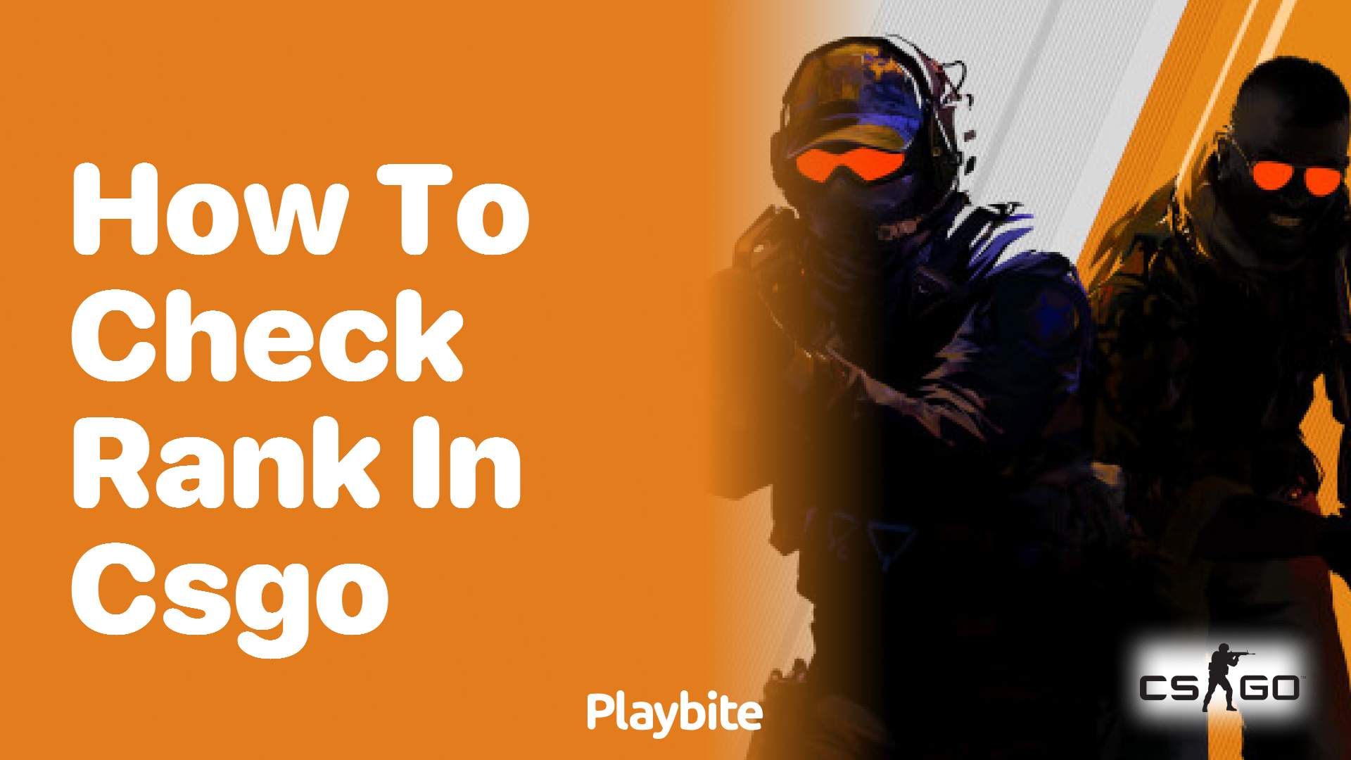 How to check your rank in CS:GO - Playbite
