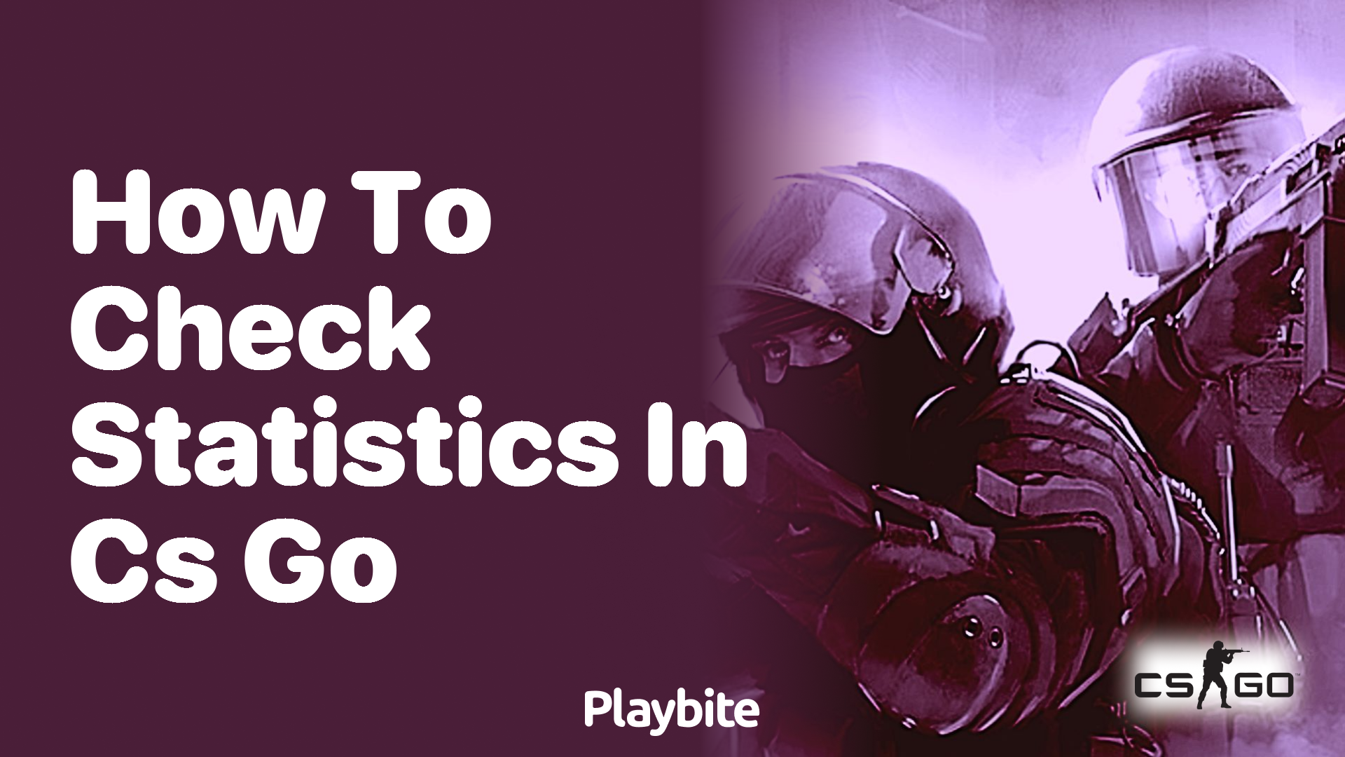How to Check Statistics in CS:GO - Playbite
