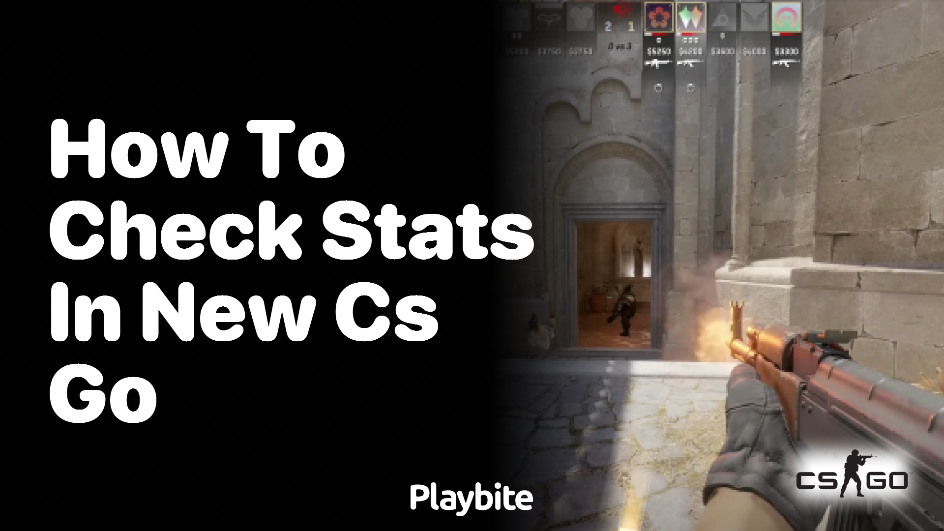 How to Check Stats in New CS:GO - Playbite