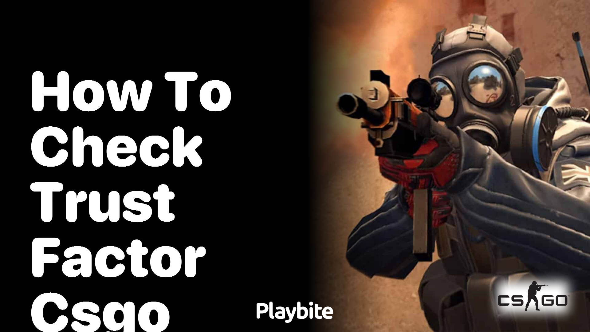 How to Check Trust Factor in CS:GO - Playbite