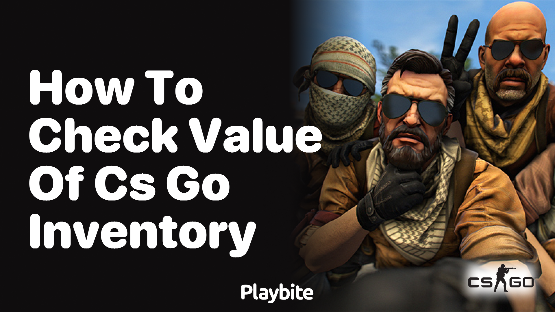How to check the value of your CS:GO inventory - Playbite