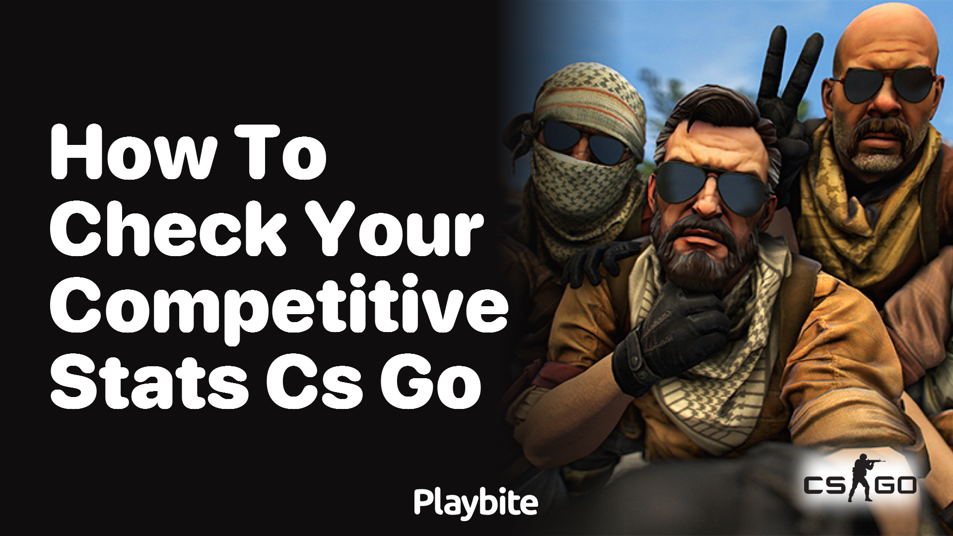 How to check your competitive stats in CS:GO - Playbite