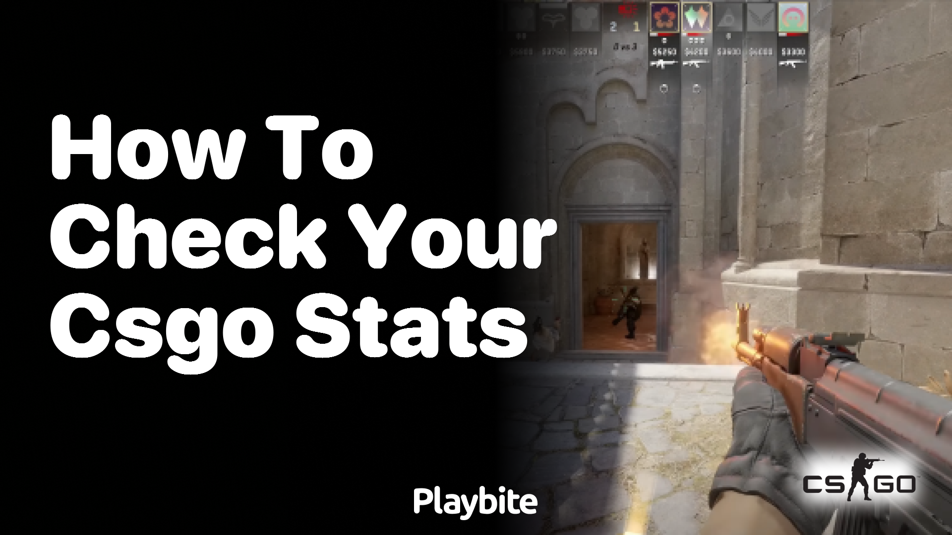 How to Check Your CS:GO Stats - Playbite