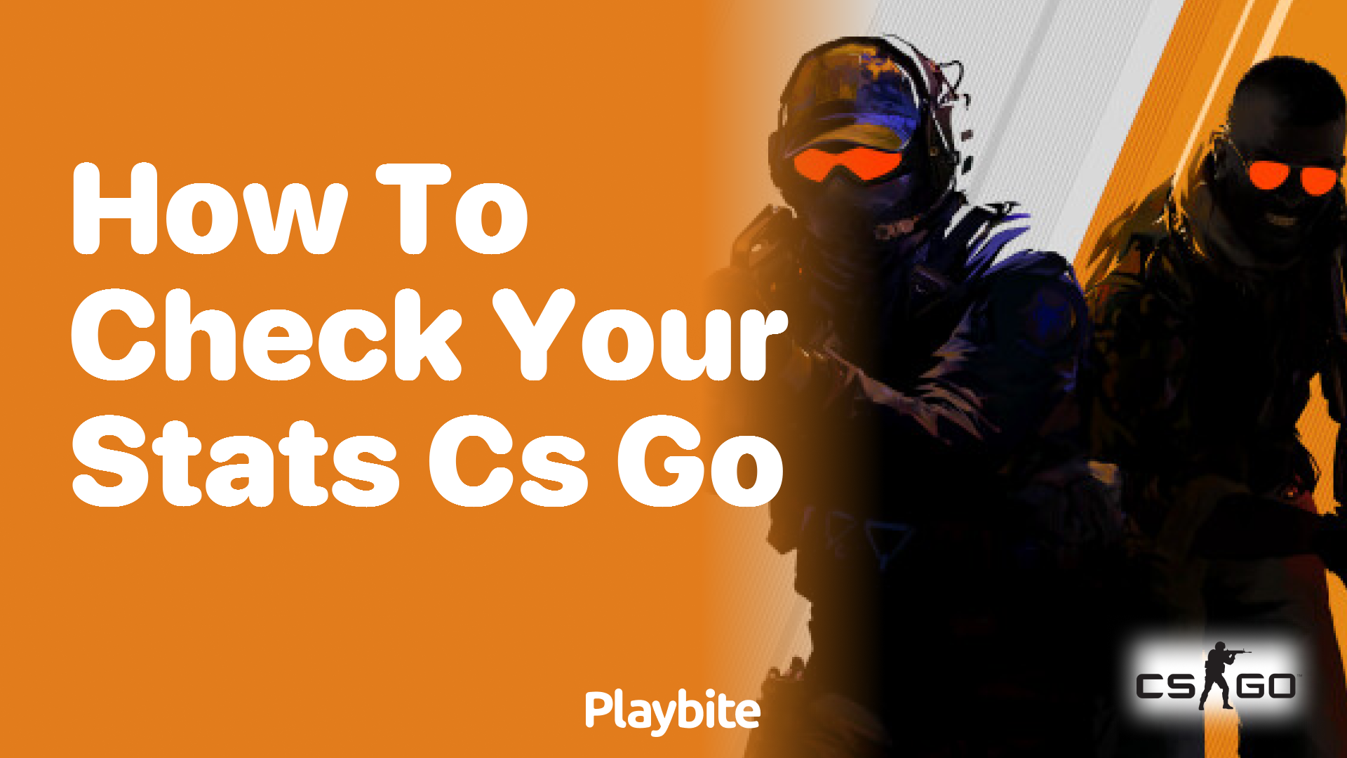How to Check Your Stats in CS:GO - Playbite