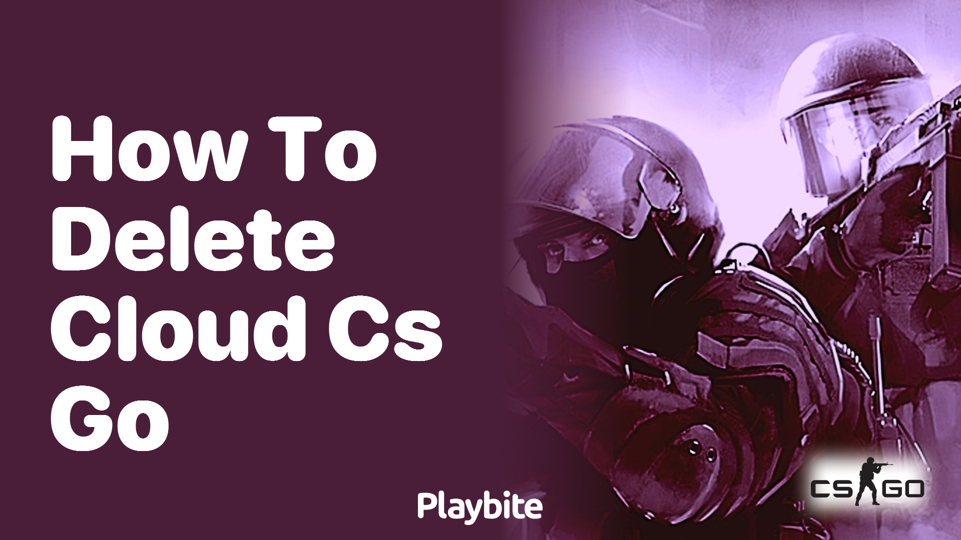 How to delete cloud CS:GO data? - Playbite
